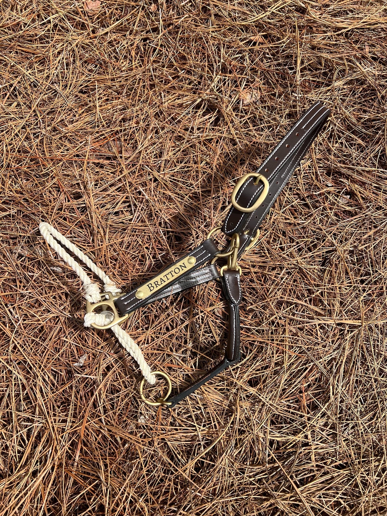 Lariat Halter (White) | Velocity Performance Products